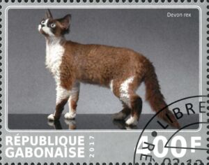 Stamp: Devon rex (Cinderellas) (Gabon) Col:GA 2017-19/2