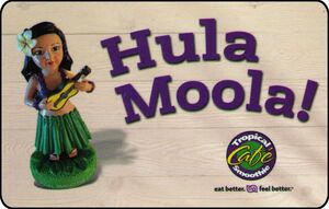 Gift Card: Hula Moola! (Tropical Smoothie Café, United States of ...