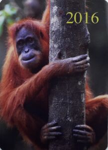 Calendario de Bolsillo: Monkey (Rusia(Symbol of the Year) Col:RUS-2016 ...