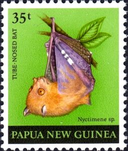 Stamp: Common Tube-nosed Fruit Bat (Nyctimene albiventer) (Papua New ...