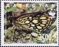 Stamp: Large Chequered Skipper (Heteropterus morpheus) (Russia ...