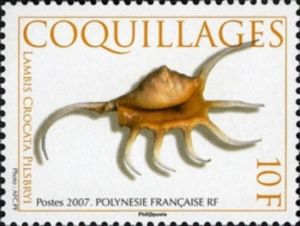 Stamp: Conch (Lambis crocata pilsbryi) (French Polynesia(Shells) Yt:PF ...