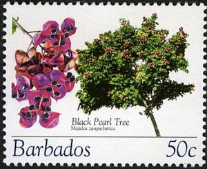 Stamp: Black Pearl Tree (Majidea zanquebarica) (Barbados(Tree ...