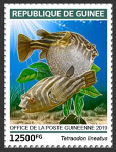 Stamp: Nile Puffer (Tetraodon lineatus) (Guinea(Fishes (2019)) Mi:GN 13539
