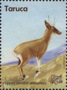 Stamp: Taruca (Hippocamelus antisensis) (Peru(Fauna of Peru) Mi:PE 2813 ...