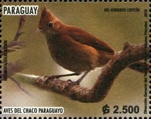 Stamp: Crested Hornero (Furnarius cristatus) (Paraguay(Birds of the ...