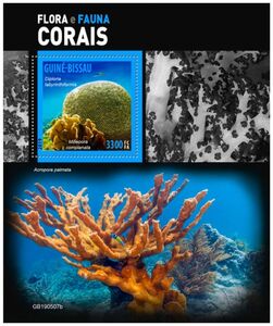 Stamp: Blade Fire Coral (Millepora complanata) (Guinea-Bissau(Corals ...