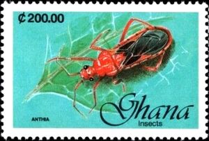 Stamp: Anthia (Ghana) (Insects) Mi:GH 1603,Sn:GH 1355,Sg:GH 1637
