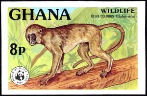 Stamp: Olive Colobus (Colobus verus) (Ghana(WWF Wildlife) Mi:GH 702B