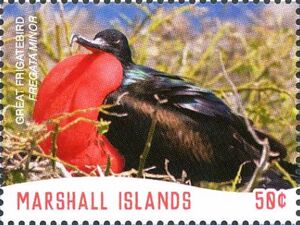 Stamp: Great Frigatebird (Fregata minor) (Marshall Islands(Seabirds of the Pacific) Mi:MH 4007 ...