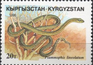 Stamp: Steppe Ribbon Racer (Psammophis lineolatum) (Kyrgyzstan(Reptiles ...