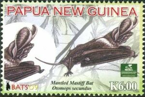 Stamp: Mantled Mastiff Bat (Otomops secundus) (Papua New Guinea(Bats of ...