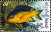 Stamp: Beaugregory (Pomacentrus leucostictus) (Marshall Islands ...