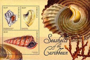 Stamp: Seashells (Grenada(Seashells (2013)) Mi:GD 6519-6521KB,Sn:GD ...