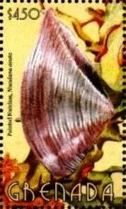 Stamp: Pointed Nut Clam (Nuculana acuta) (Grenada(Seashells) Mi:GD 6522 ...