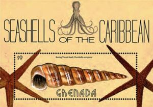 Stamp: Boring Turret Snail (Turritella acropora) (Grenada(Seashells ...