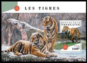 Stamp: Tigers (Togo(Tigers (2018)) Mi:TG BL1598,Yt:TG BF1419