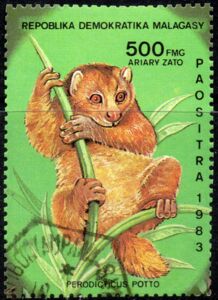 Stamp: West African Potto (Perodicticus potto) (Madagascar(Lemurs 1983 ...