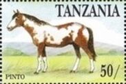 Stamp: Pinto (Tanzania(Horses) Mi:TZ 986,Sn:TZ 767m,Yt:TZ 733,Sg:TZ 1013