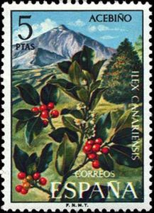 Stamp: Holly (Ilex canariensis) (Spain(Flora (1973)) Mi:ES 2018,Sn:ES ...