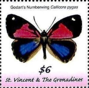 Stamp: Godart's Numberwing (Callicore pygas) (Saint Vincent and The ...