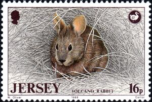 Stamp: Volcano Rabbit (Romerolagus diazi) (Jersey(Wildlife Preservation ...