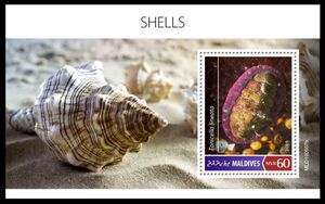 Stamp: Various Shells (Maldives(Shells (2019)) Mi:MV BL1355,Yt:MV BF1345