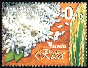 Stamp: Rice (Bosnia and Herzegovina(Grain Crops (2019)) Mi:BA 777,Sn:BA ...