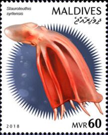 Stamp: Glowing Sucker Octopus (Stauroteuthis syrtensis) (Maldives ...