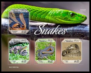 Stamp: Snakes (Maldives(Snakes (2019)) Mi:MV 8239-8242KB,Yt:MV 6771-6774