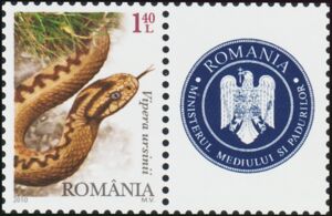 Stamp: Meadow Viper (Vipera ursinii) (Romania(Protected Fauna of the ...