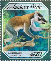 Stamp: Megaladapis edwardsi (Maldives) (Extinct Species (2019)) Mi:MV 8256