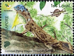 Stamp: Common Flying Dragon (Draco sumatranus) (Singapore(Fun with ...