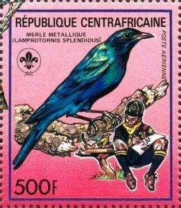 Stamp: Splendid Starling (Lamprotornis splendidus) (Central African ...