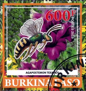 Stamp: Agapostemon Texanus (Burkina Faso: Illegal Stamps(Bees 2019) Col ...