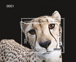 Stamp: Cheetah (Acinonyx jubatus) (Togo(Big Cats (2016)) Mi:TG BL1397
