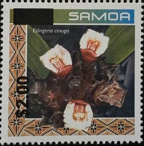 Stamp: Etlingeria cevuga surcharged $2.00 (Samoa(Surcharges (2018)) Mi ...
