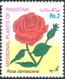 Stamp: Rosa Damascena (Rose, Gul-e-Surkh) (Pakistan(Medicinal Plants of ...