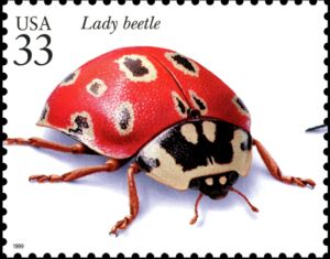 Stamp: Eye-spotted Lady Beetle (Anatis mali) (United States of America ...