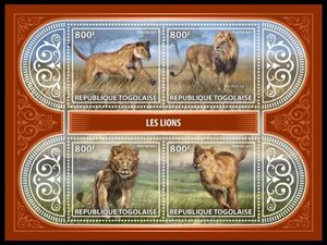 Stamp: Lions (Togo(Lions (2017:2)) Mi:TG 8331-8334KB,Yt:TG 5808-5811