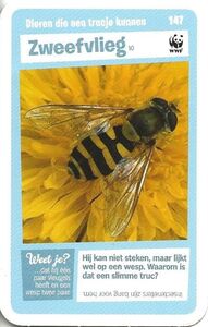 Meal Toy: Zweefvlieg (Chain store, Netherlands(Superdieren) Col:ALB ...