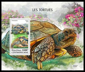 Stamp: Greek Tortoise (Testudo graeca) (Central African Republic ...