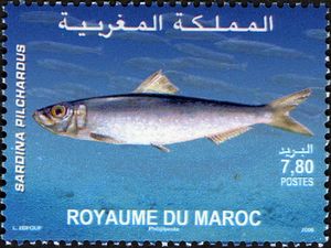 Stamp: European Pilchard (Sardina pilchardus) (Morocco(Marine Fauna ...
