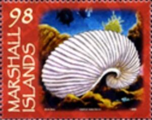Stamp: Paper nautilus (Marshall Islands(Sea Shells 2010) Mi:MH 2566,Sn ...