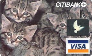 Bank Card: CITIBANK gatos (Citibank, SpainCol:ES-VI-0167.01