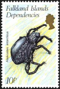 Stamp: Mite (Alaskozetes antarcticus) (Falkland Islands, Dependencies ...