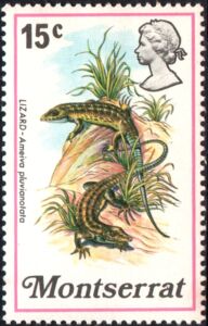 Stamp: Lizard (Montserrat(Reptiles and Amphibians) Mi:MS 277,Sn:MS 278 ...