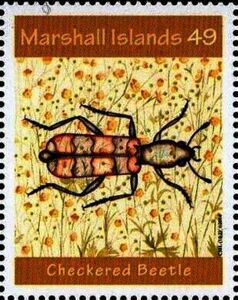 Stamp: Checkered beetle (Marshall Islands(Insects) Mi:MH 3295,Sn:MH ...