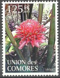 Stamp: Vetsa (Etlingera elatior) (Comoros(Plants (2011)) Mi:KM 3081,Yt ...