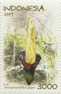 Stamp: Amorphophallus gigas (Indonesia(Flora & Fauna of Indonesia (2019 ...